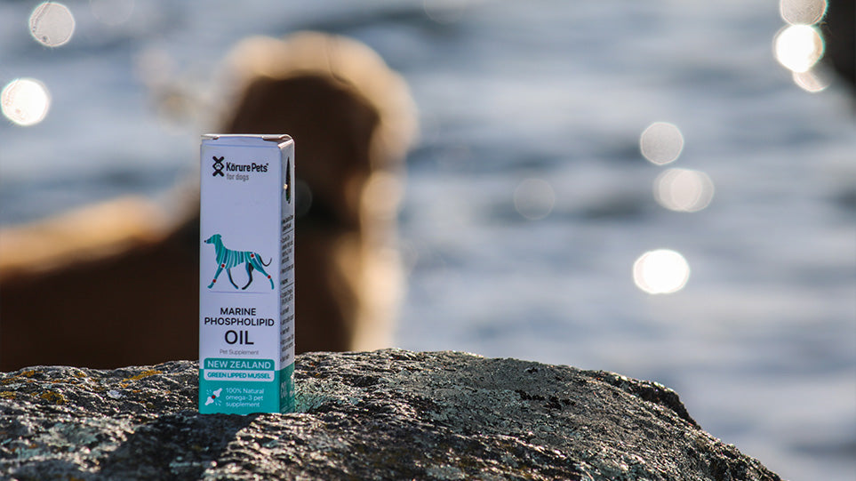 How Kōrure Pets Supplements Can Help Your Pets – Korure Pets