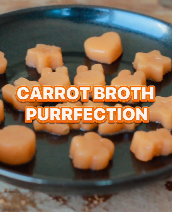 Carrot Broth Purrfection | Carrot and Bone Broth Treats for your Pets ...