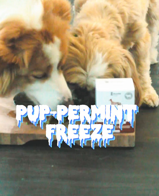 Pup Permint Freeze | Minty Frozen Dog Treat Recipe – Korure Pets