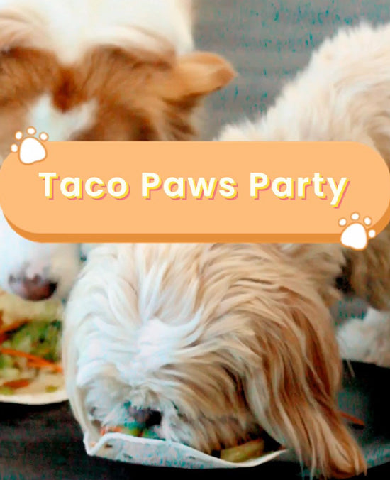 Dog-Friendly Tacos | Fun and Healthy Taco Recipe for Your Pup – Korure Pets