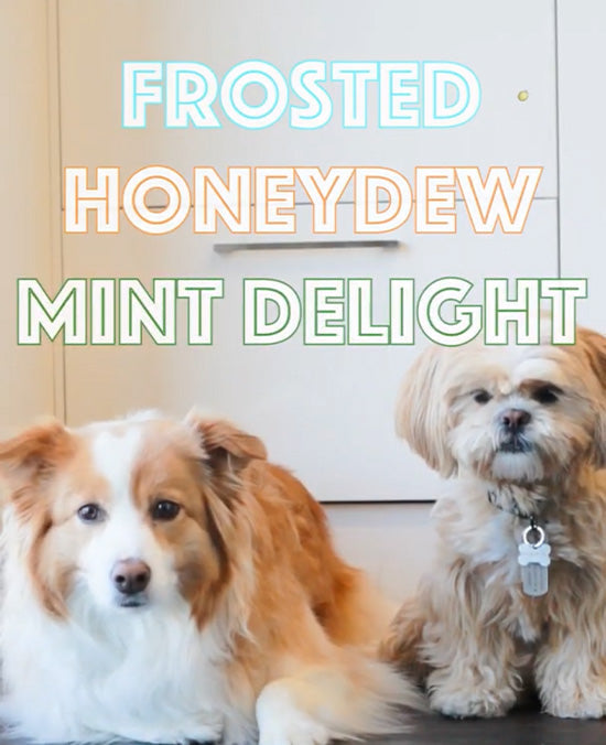 Frosted Honey Dew Mint Delight: Refreshing Summer Treat for Dogs | Kōr ...