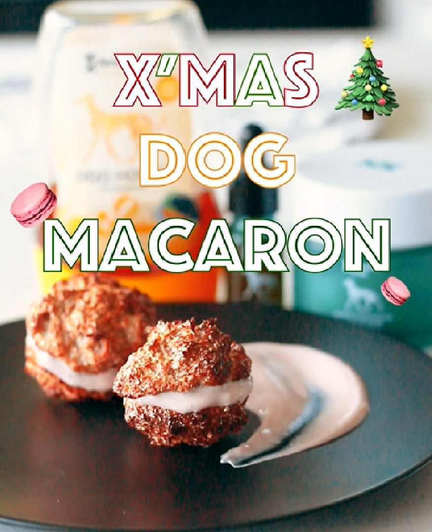 Dog-Friendly Macarons: A Gourmet Christmas Treat for Your Pup! – Korure ...
