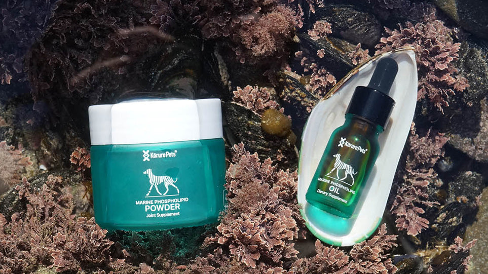 MP Oil vs MP Powder | Whats the difference - Blog – Korure Pets