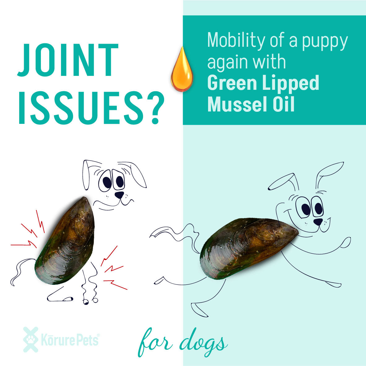 Dog NZ Green Lipped Mussel Oil – Korure Pets