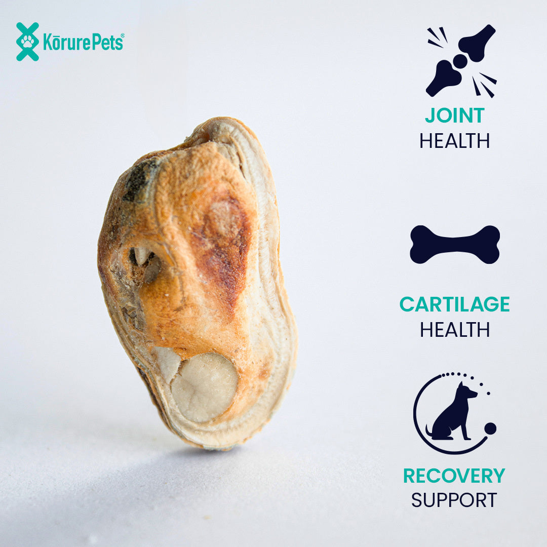 Dog Omega-3 Mussel Topper – Korure Pets