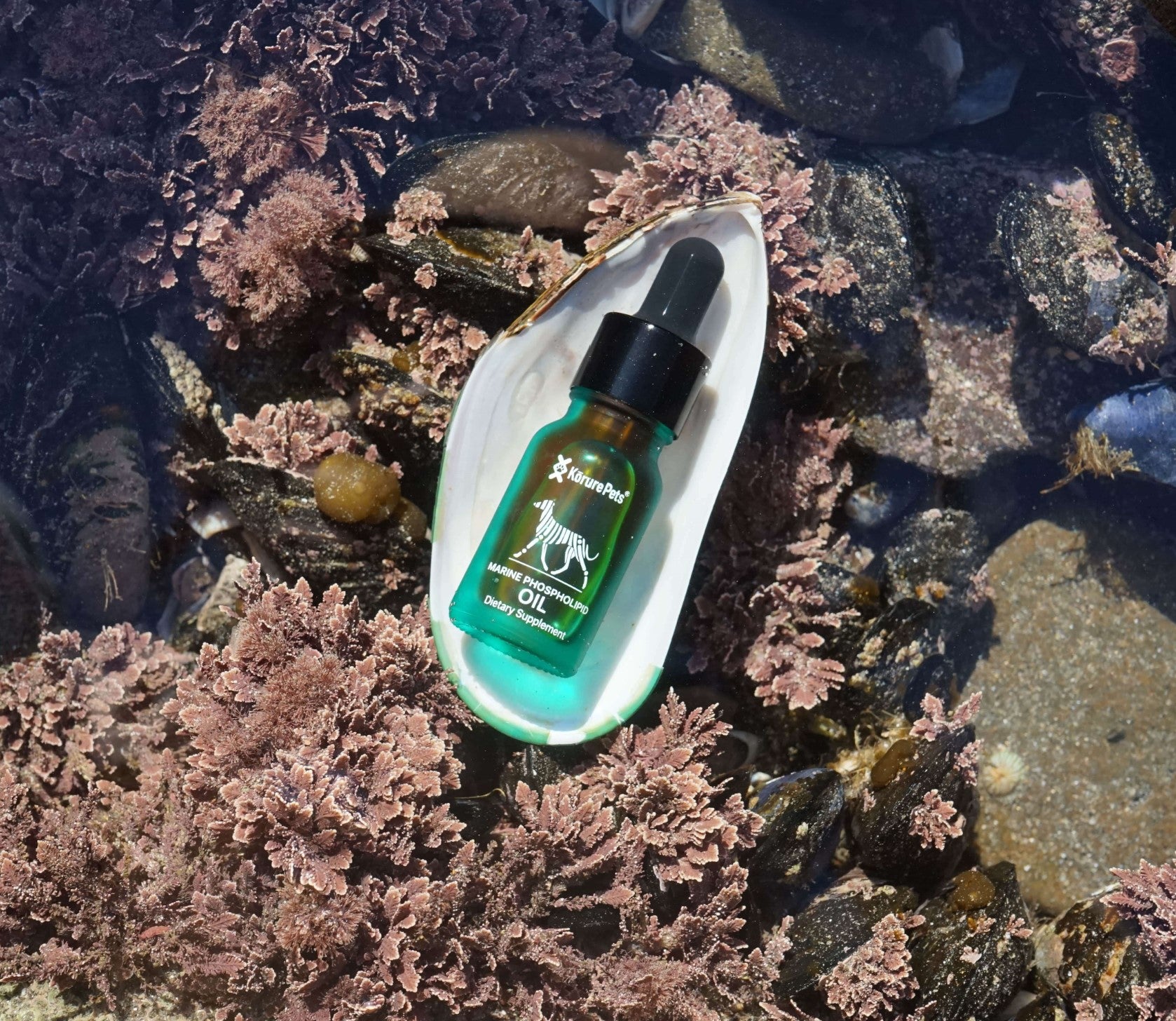 Dog NZ Green Lipped Mussel Oil – Korure Pets